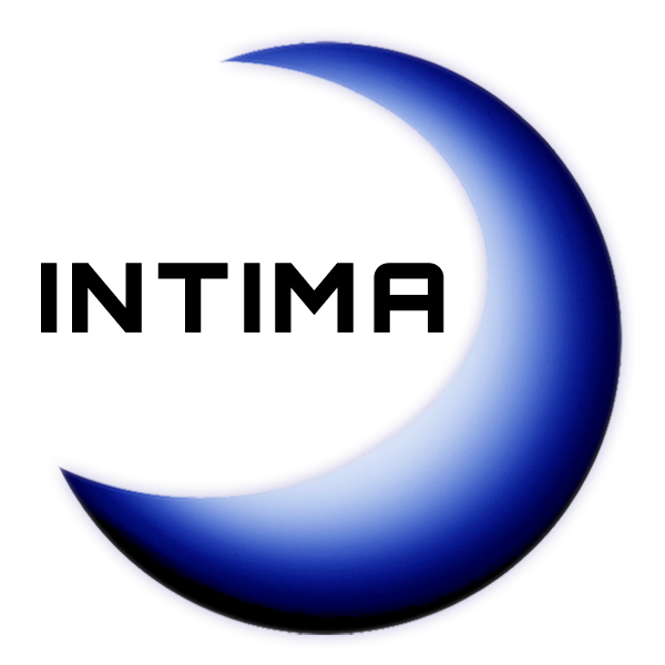 INTIMA Performance Brake Pads – ARD Importing & Distribution